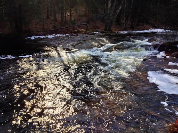 A Single Speed Odyssey | Riding the Catskills